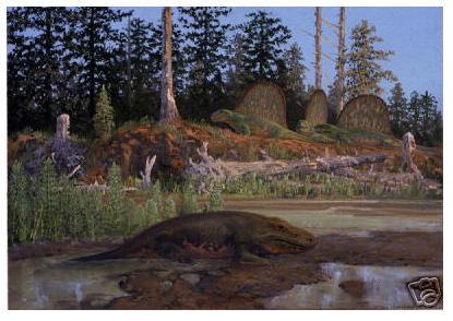 Extinct Animal of the Week: Eryops in pictures