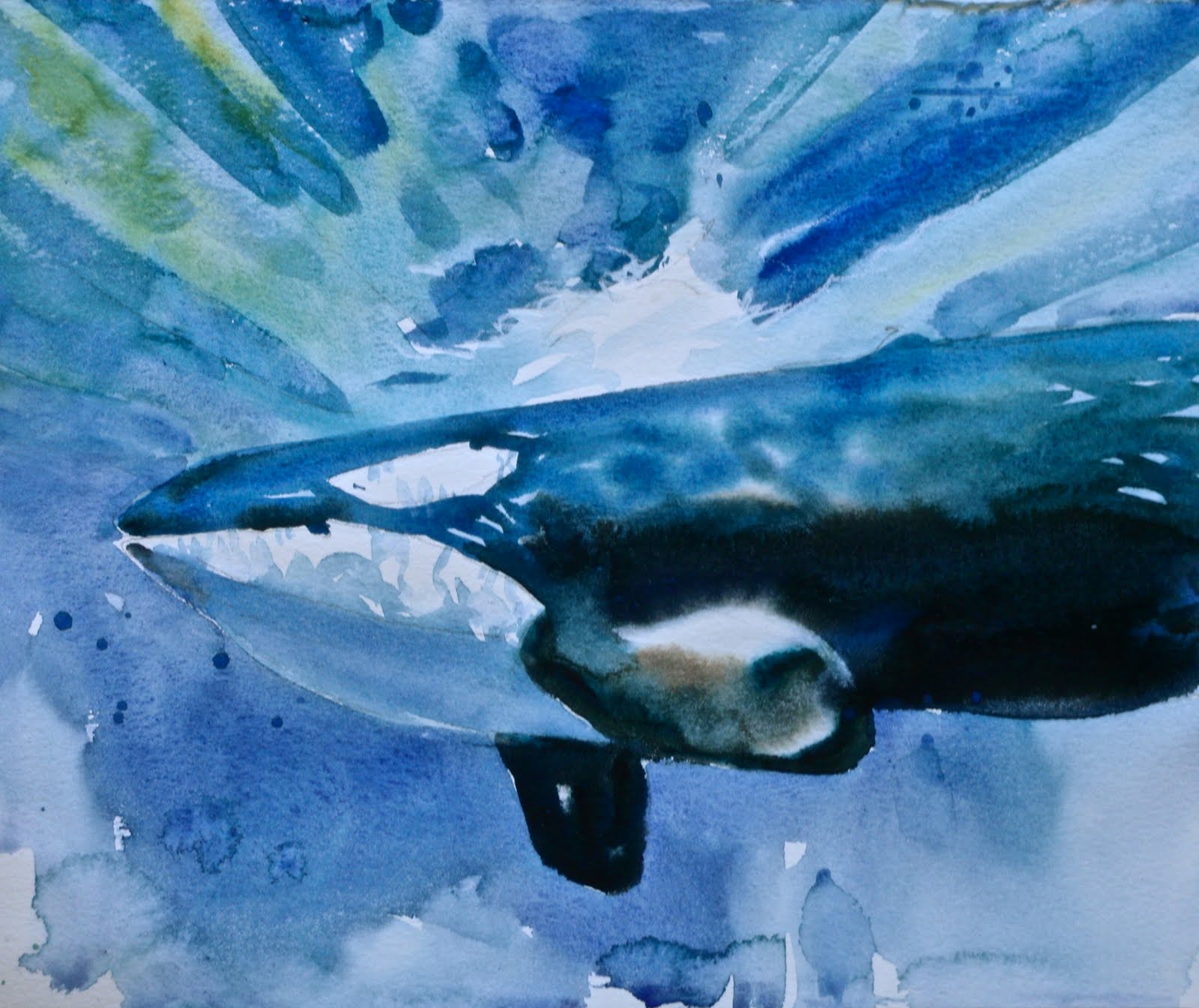 David Lobenberg: More fish in my net