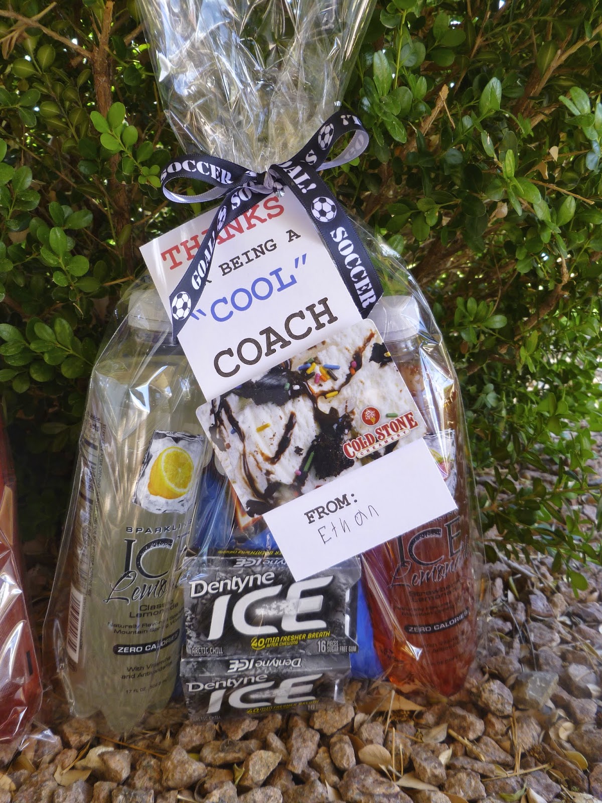 Indulge With Me: Coach Appreciation gifts