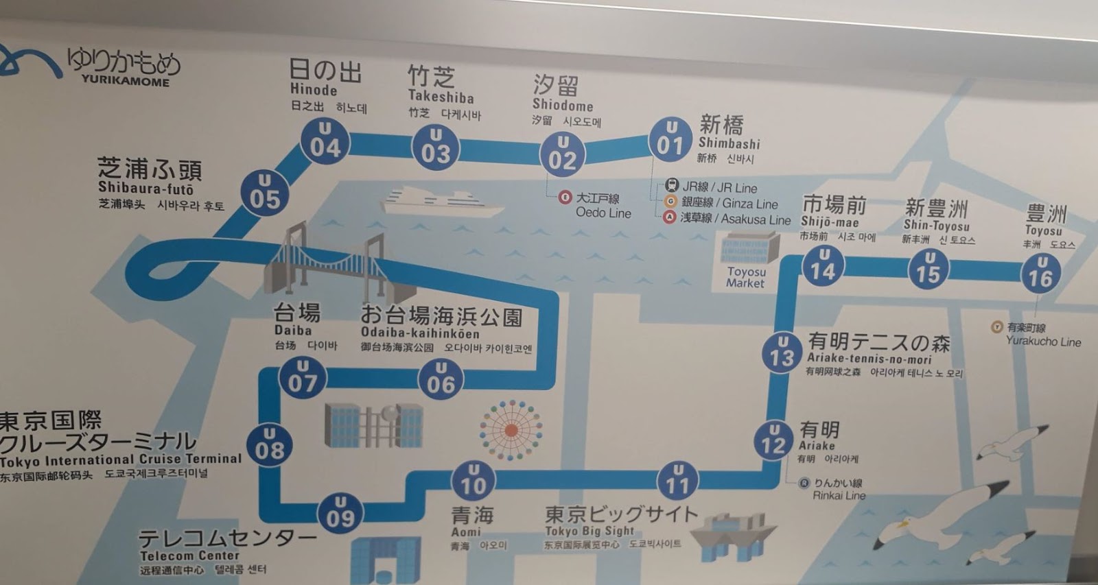 10 Tips for visiting teamLab Borderless Digital Musuem Tokyo