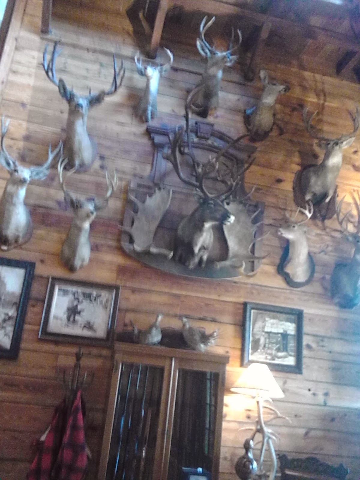 3 EN CALIFORNIA: LA CASA DE LOS CUERNOS