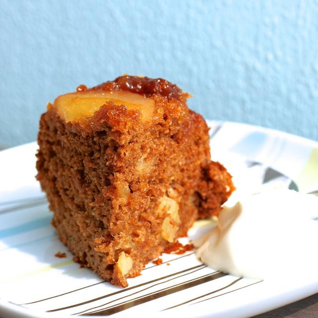 pepsakoy: Treacle Apple Pudding