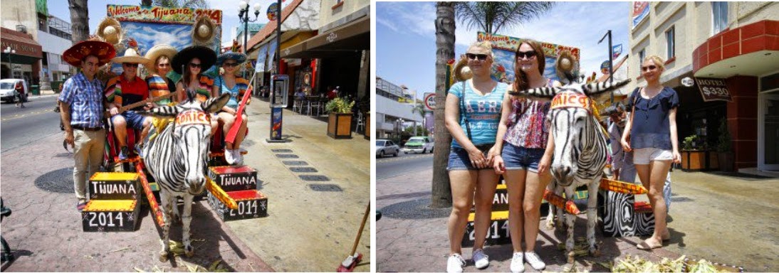 RTNoticias: Tradición de “burro-cebras” en Tijuana cumple cien años