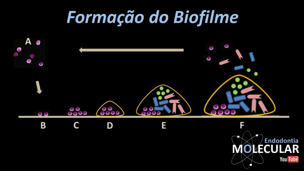 Formação Do Biofilme Dental - LIBRAIN