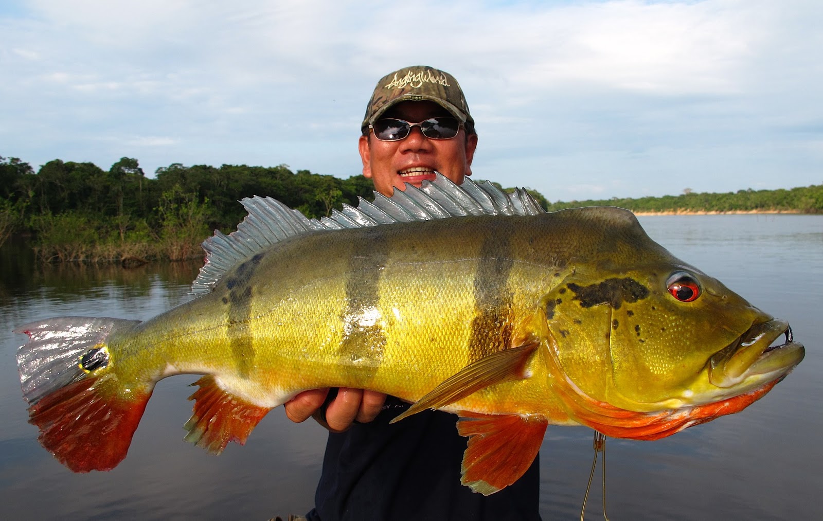 ANGLING WORLD 魔魚釣界: Adventure Fishing @ Amazonia Rio Negro