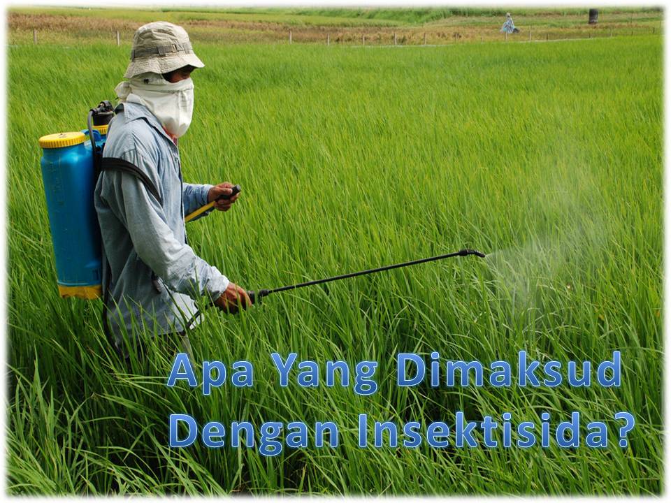 Apa Yang Dimaksud Dengan Insektisida ? - Hama & Penyakit Pada Tanaman