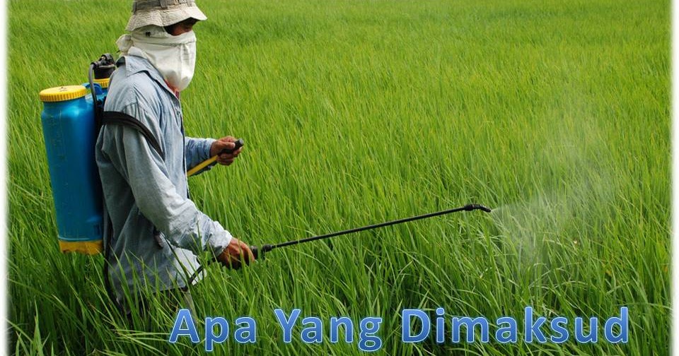 Apa Yang Dimaksud Dengan Insektisida ? - Hama & Penyakit Pada Tanaman