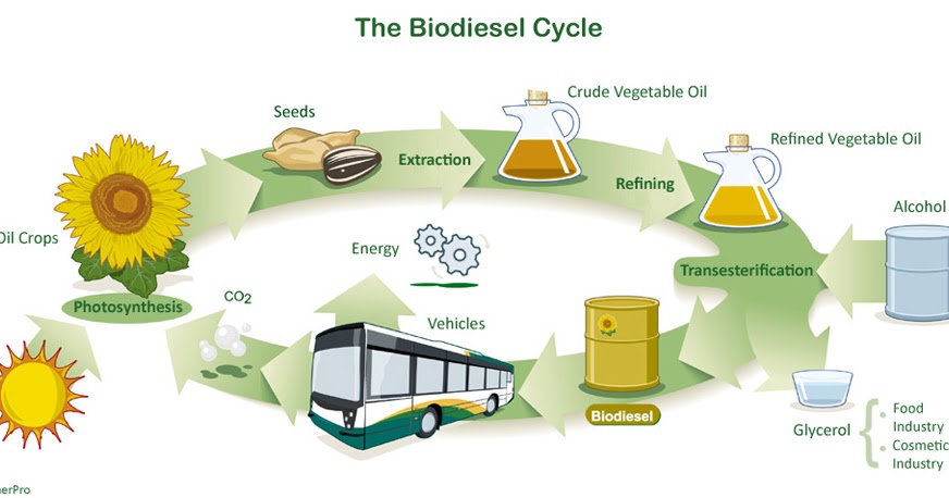 Biodiesel Market is anticipated to hit $94.8 billion by 2023 at a CAGR ...