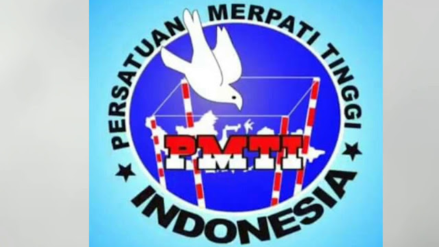 PMTI (Persatuan Merpati Tinggi Indonesia) | Merpati Jatayu Purwokerto