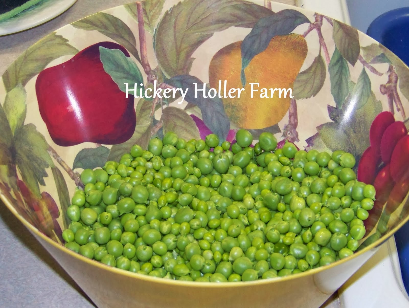 Hickery Holler Farm: First Frost