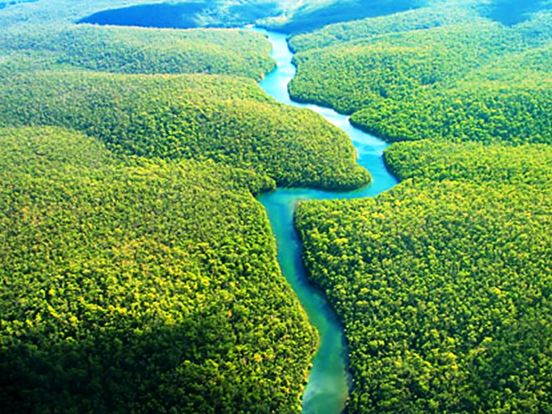 "S" obéit et "R" agit: Amazonie