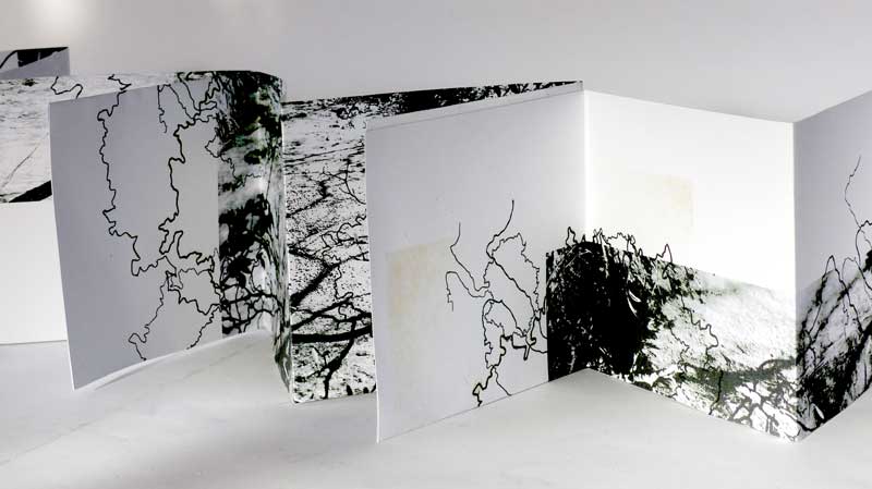 Charlton Stitcher: Digital Mark making