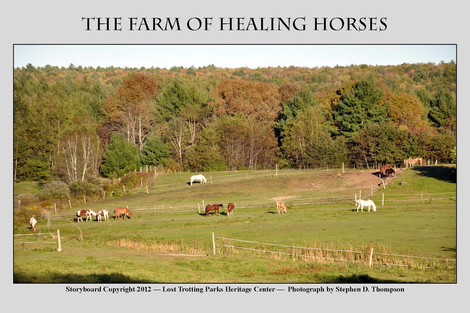 The Lost Trotting Parks Heritage Center -- Storyboard Archives: The ...