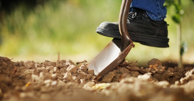 Living In Grace Blog: Digging Deep