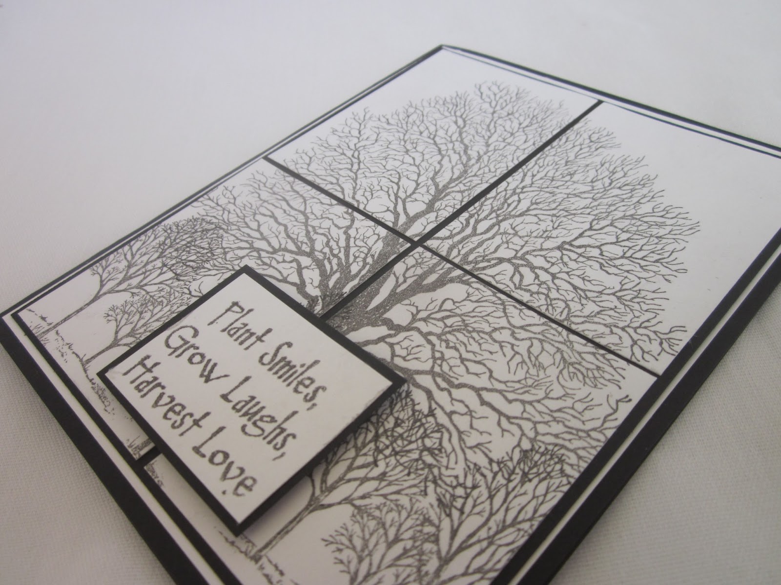 Stamping, Crafting and Having Fun: Black and White Card