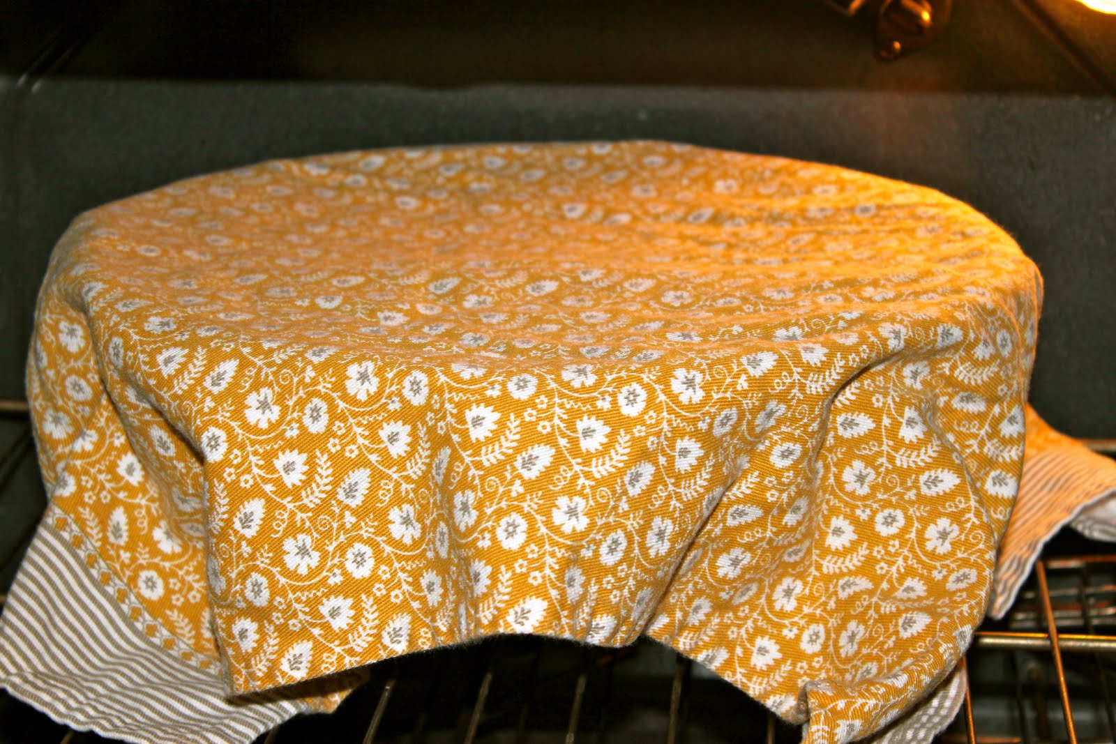 Harmony Household: Kucha- Polish Sweet Bread