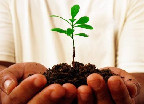 What Are The Important Types Of Biological Products? ~ Biological ...