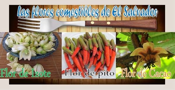 CUSCATLECOS-YES: Las flores comestibles de El Salvador (Izote, Pito y ...