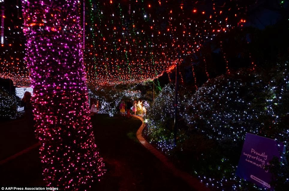 Australian Family Sets New Guinness Record with Over Half a Million ...