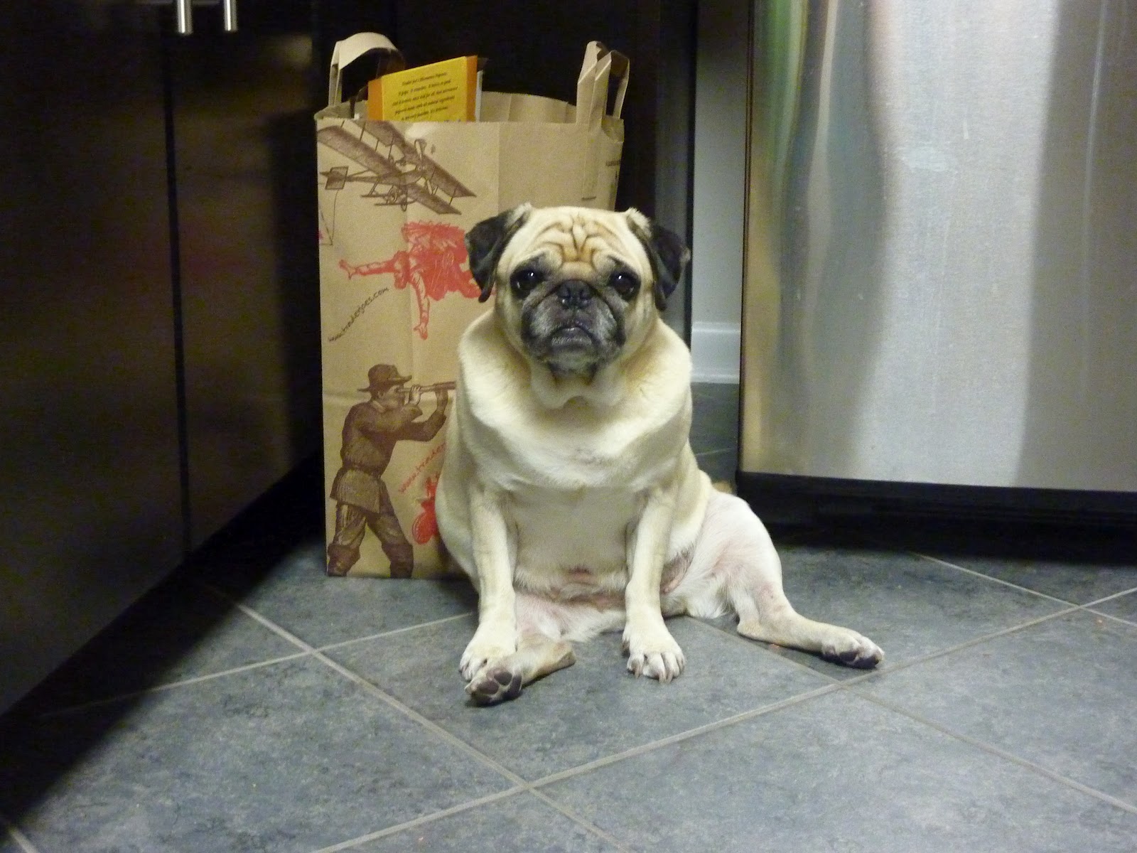 Lil Smug Pug: Asiago-Crusted Pork Chops - Yum!