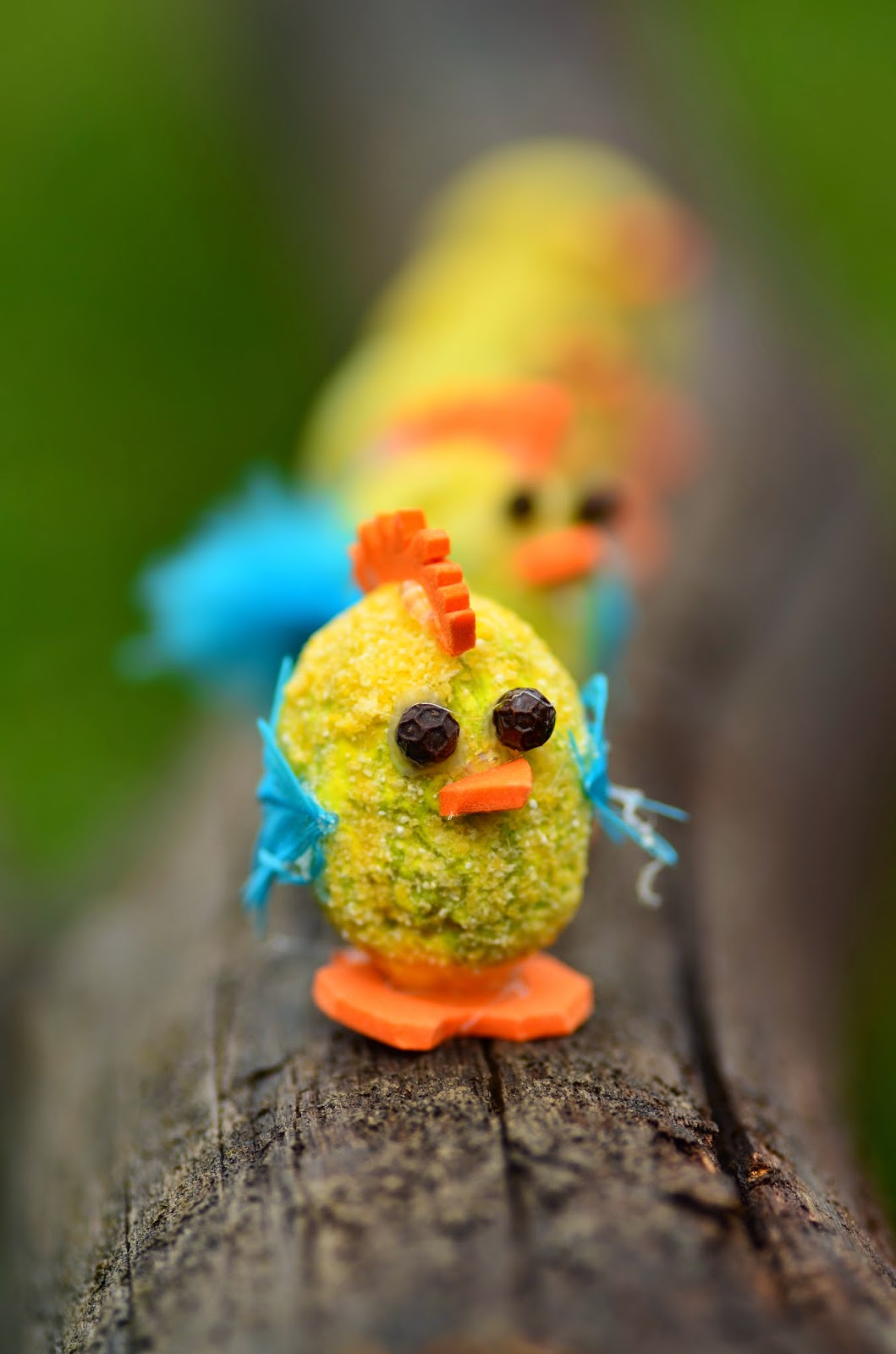 Čarovnije z male kmetije: Velikonočni piščančki, belouška in ostale žverce