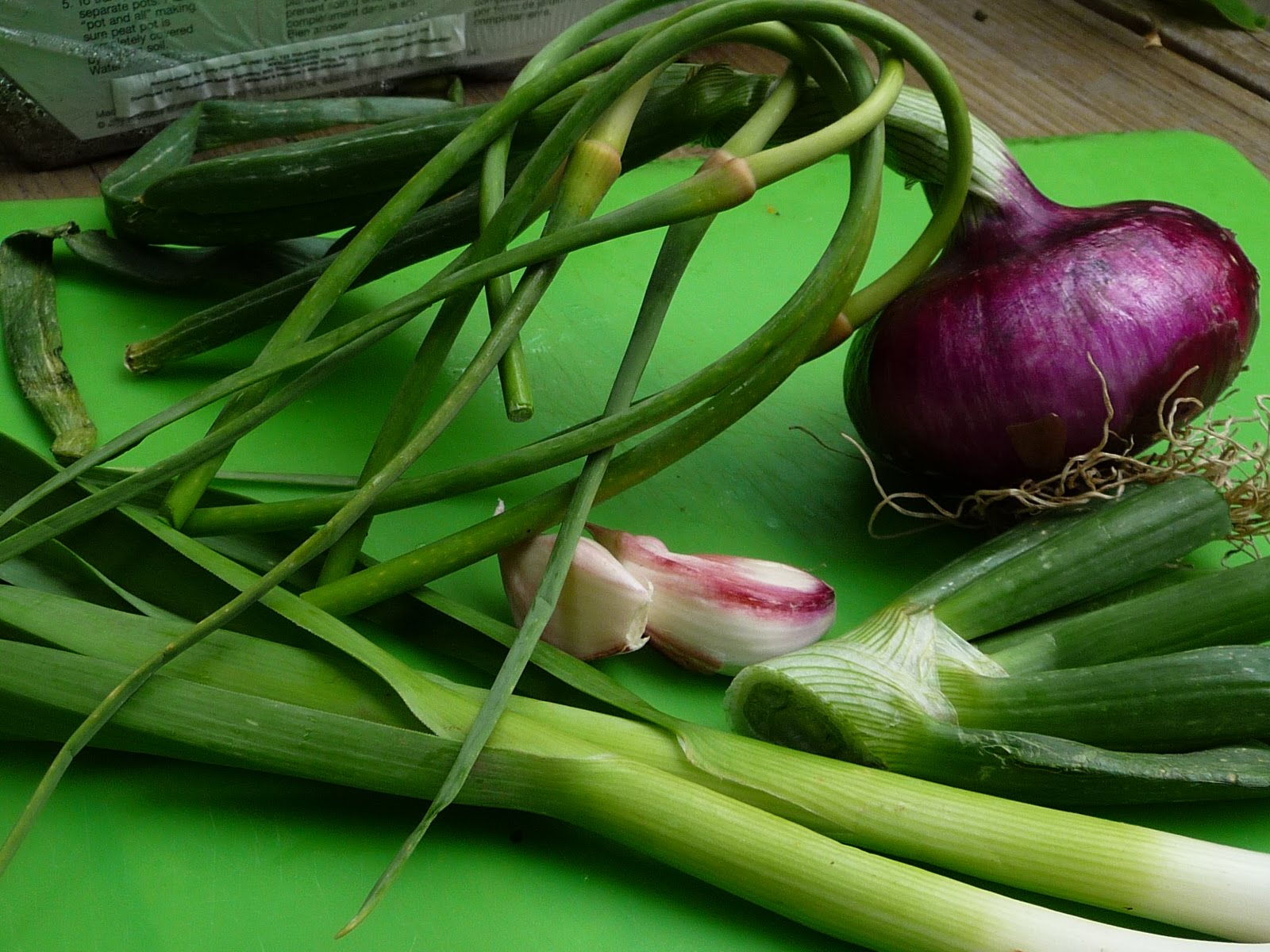 Erica's Nutrition: Allium for Joints