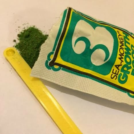 Professor Watermelon: The Weekly MUSE: Sea Monkeys