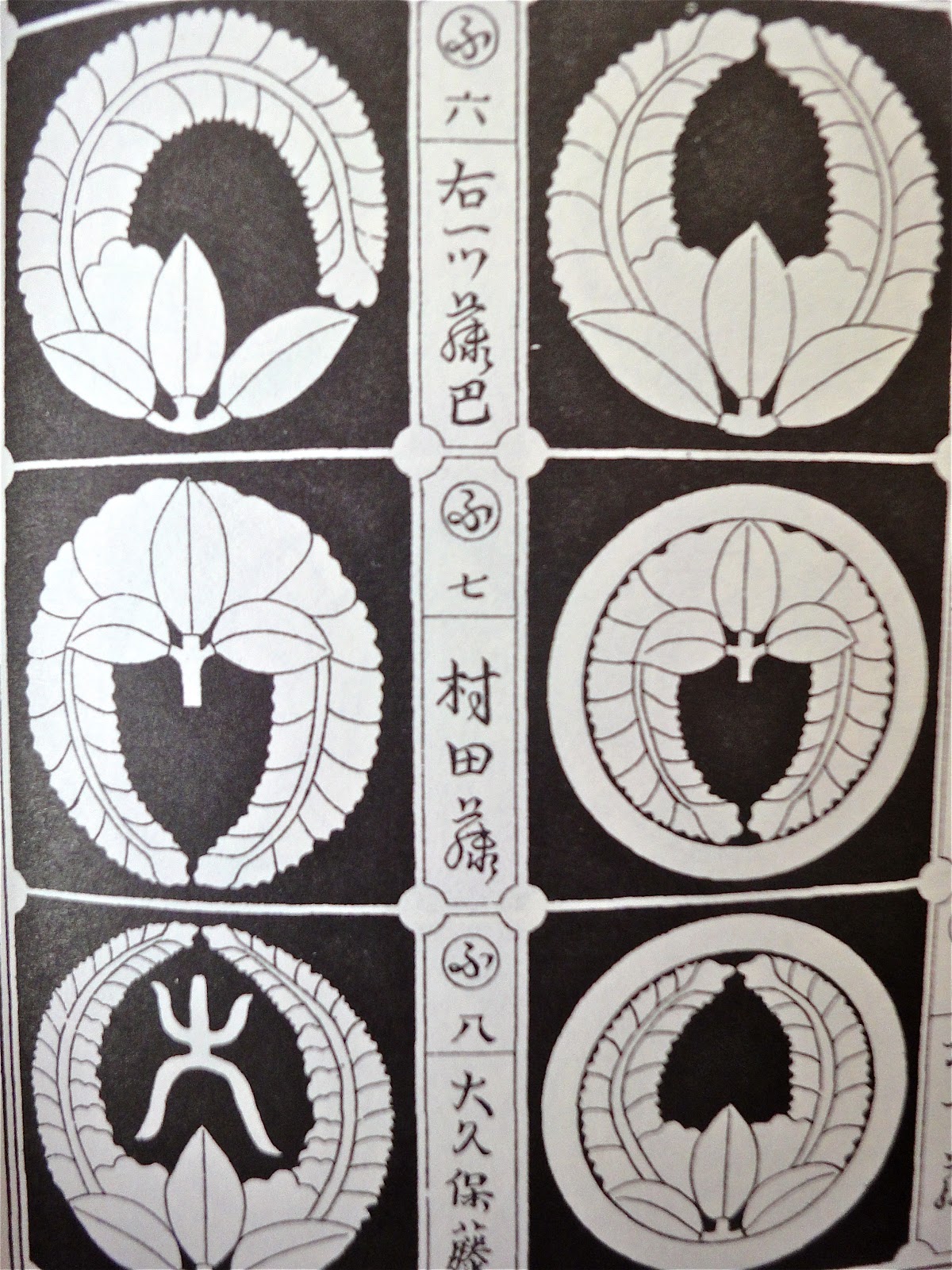 the tofu fox: Flowers of Japan: Wisteria