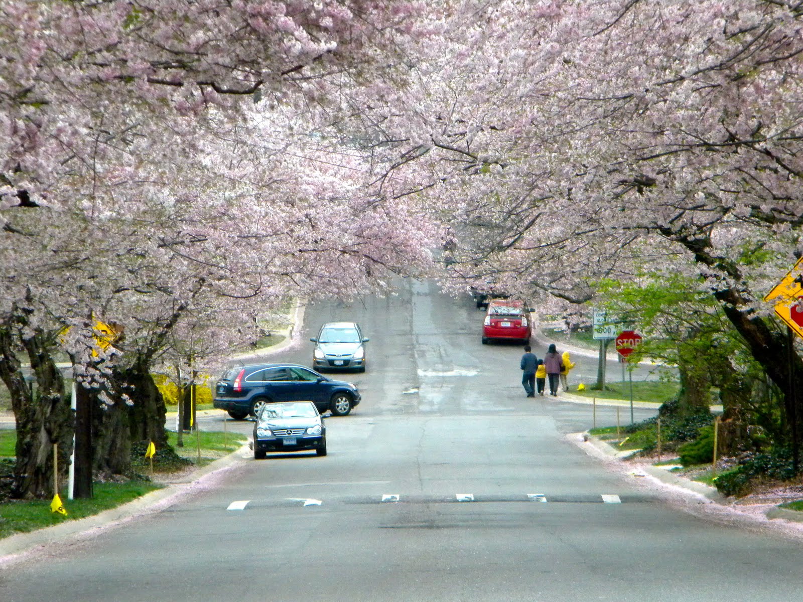 kayni's corner cafe: LP: Kalye (Street)