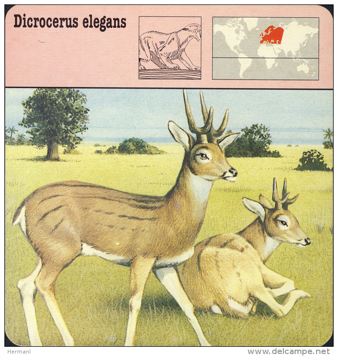 Escenarios prehistóricos: 12/16/11