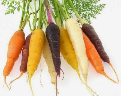 Leuke weetjes over Wortels