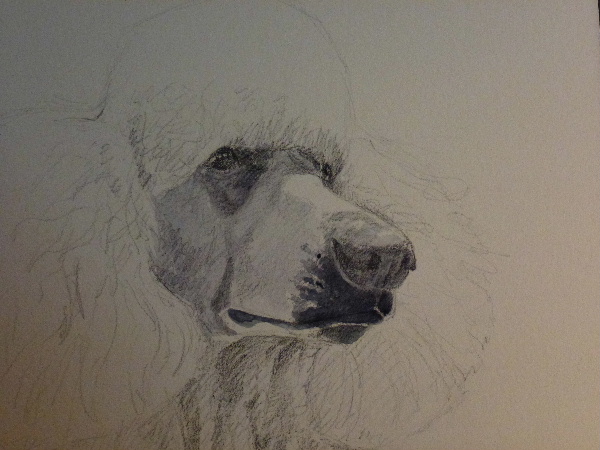 Maren Phillips: GOING PLACES