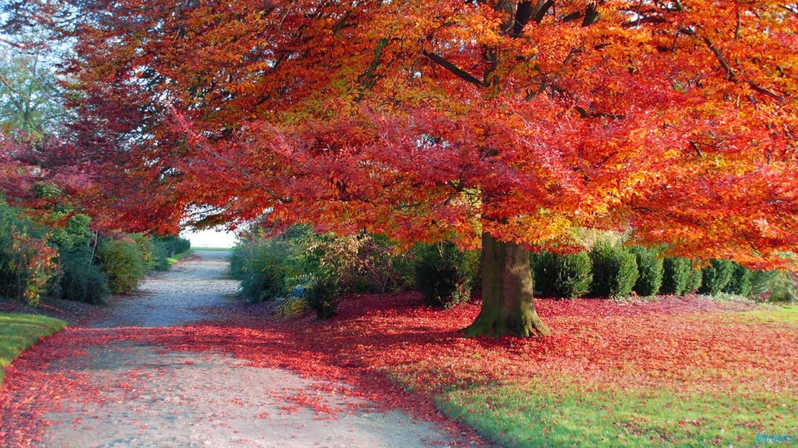Autumn Season In Pakistan The Falling Season Autumn Wallpapers