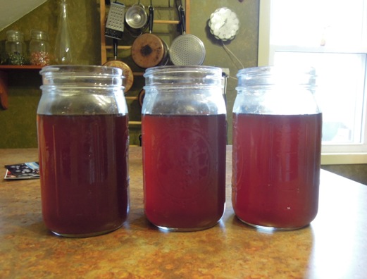 vegetalion: homemade maple syrup vinegar--results!
