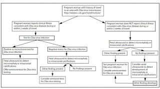 Avian Flu Diary: MMWR: Interim Guidelines For Pregnant Women During A ...