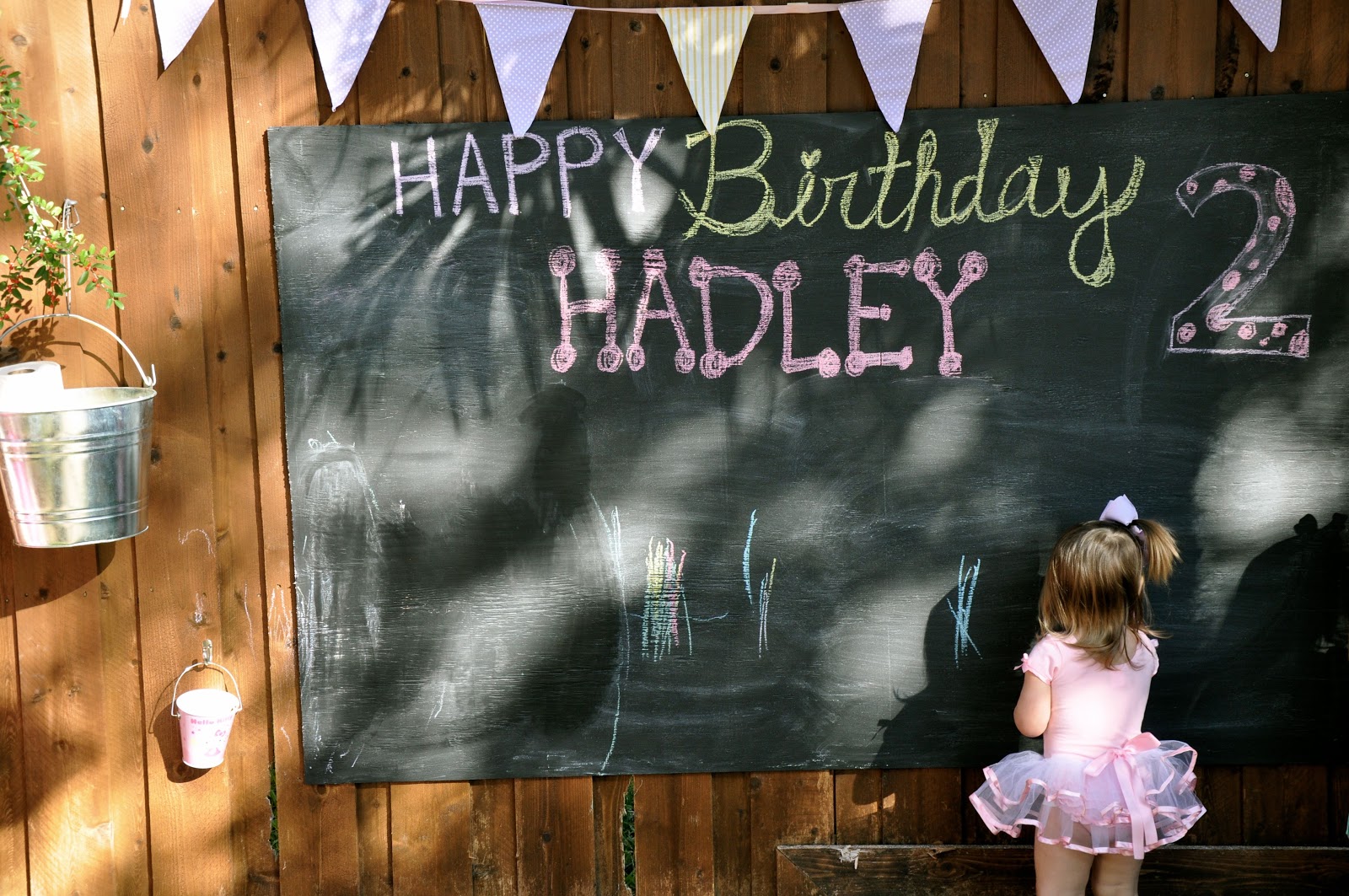 Hadley and Harper: Hadley's 2nd Birthday Party