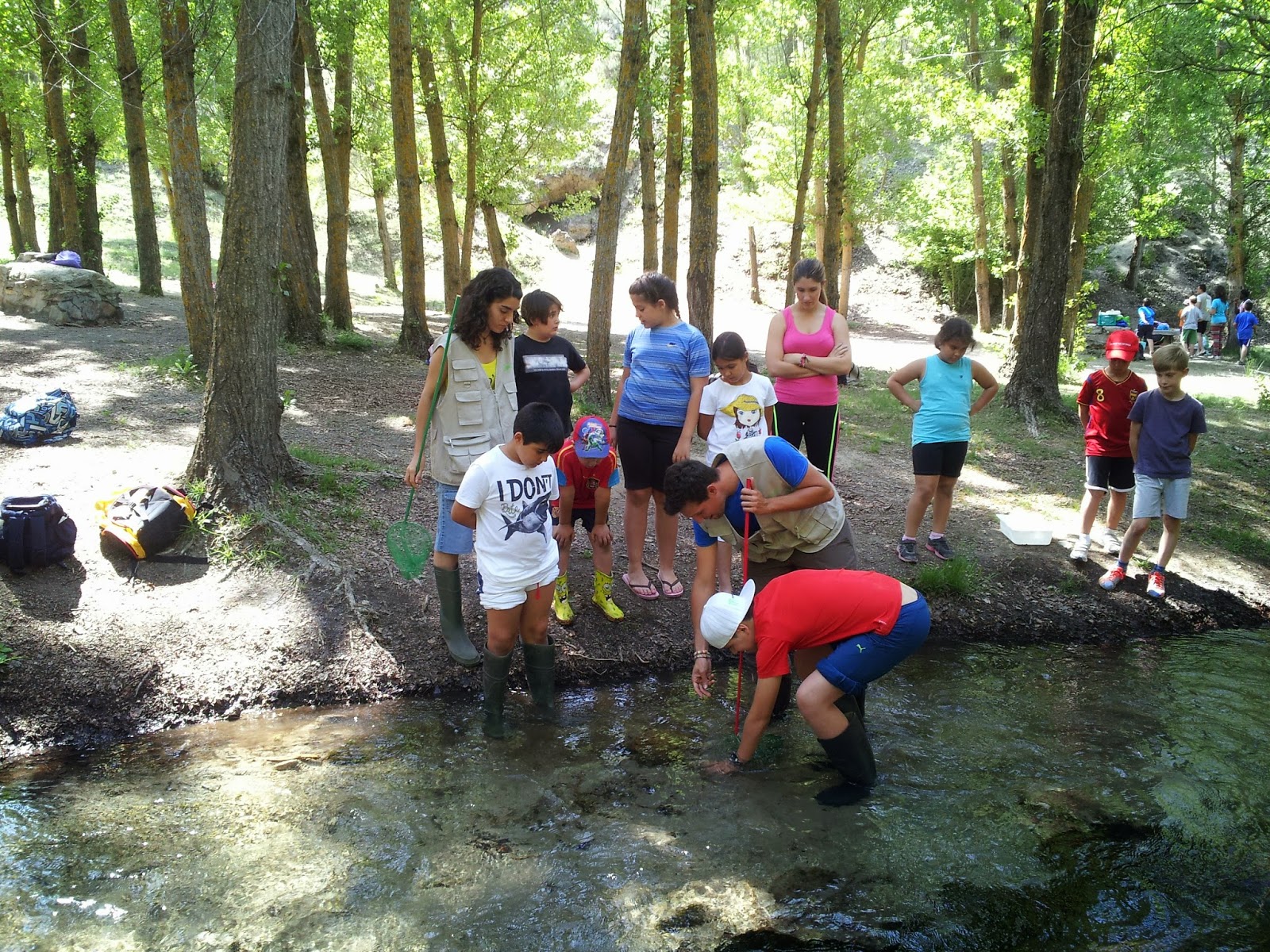Ecoideas. Aula medioambiental niños/as: LA VIDA DE NUESTROS RÍOS ...