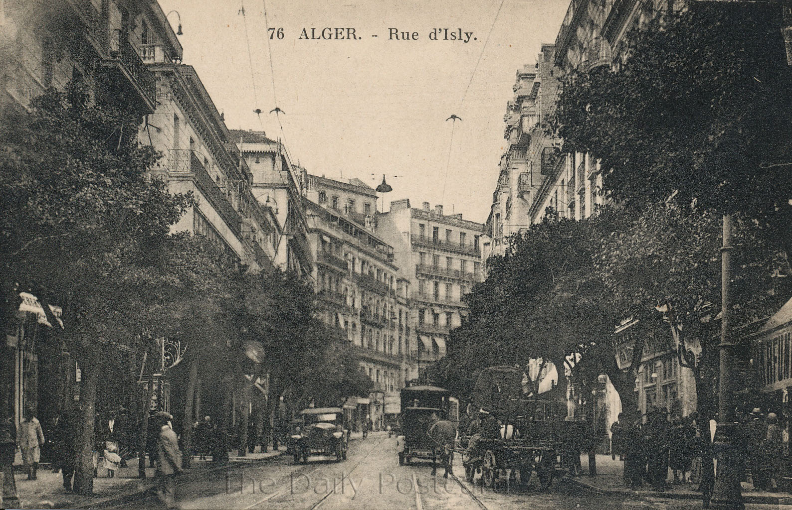 The Daily Postcard: The City of Algiers