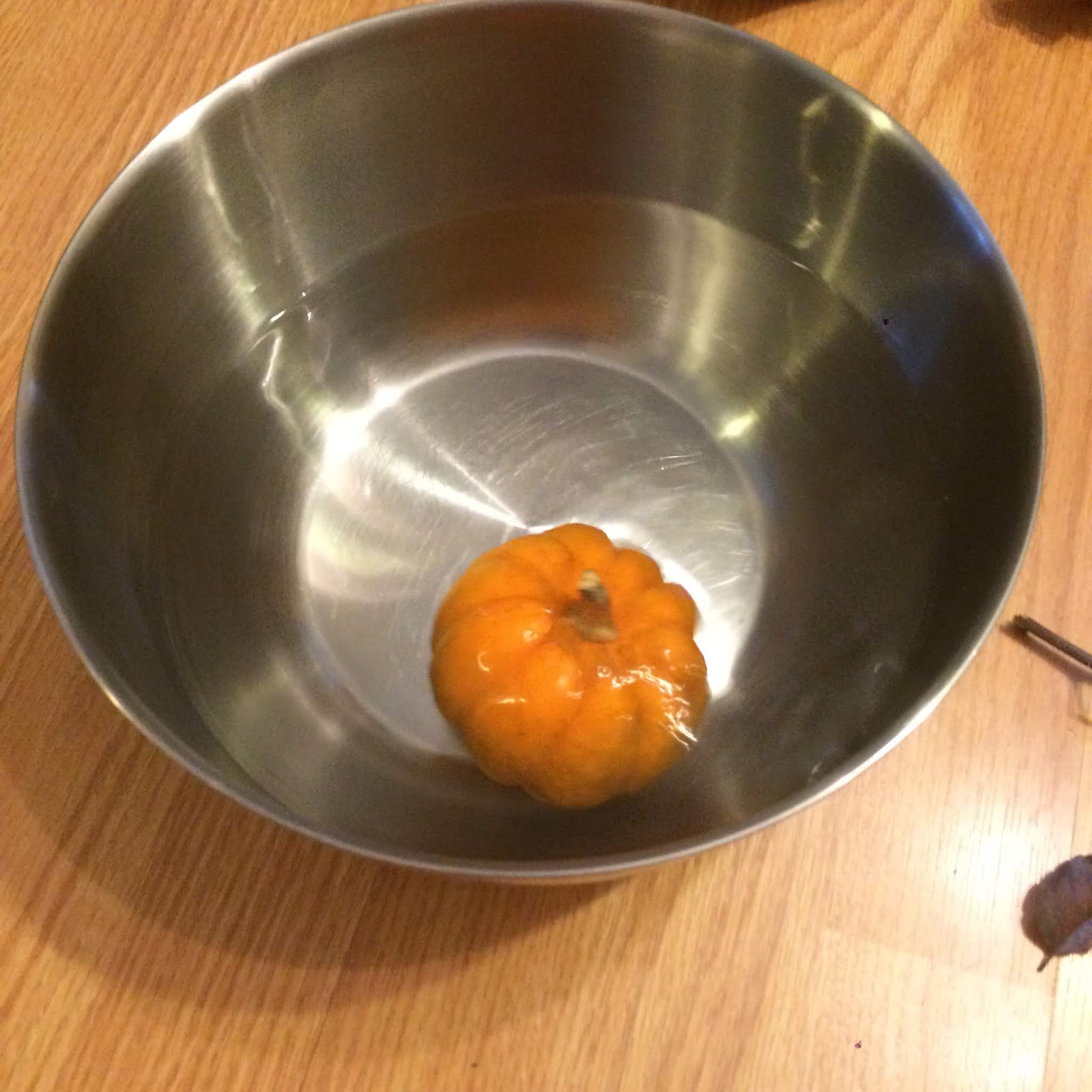Fun Fall Science Experiment- Will Pumpkins and Other Objects Sink or Float? - Take It From Nicole