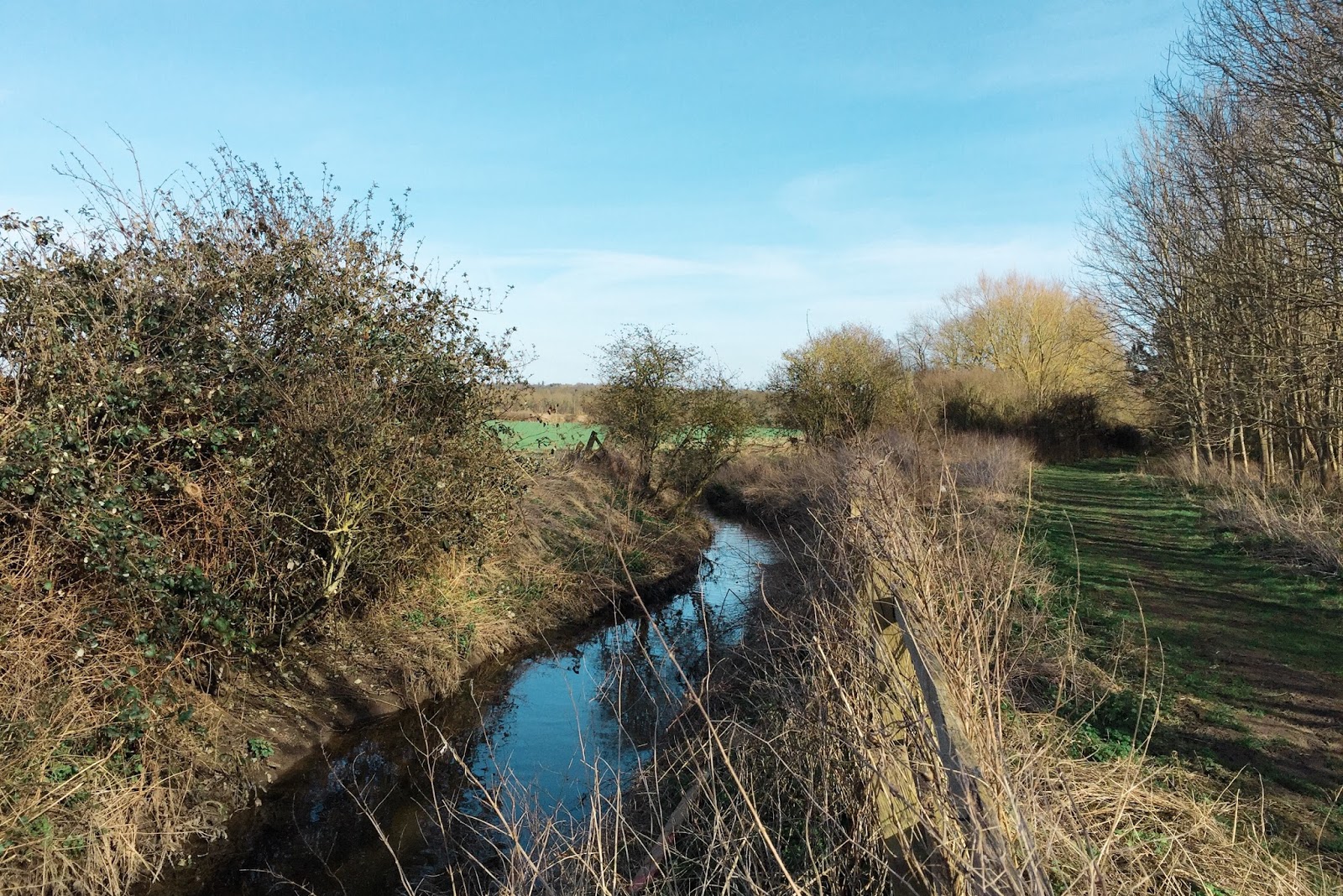 An early spring walk to Wandlebury and the River Granta