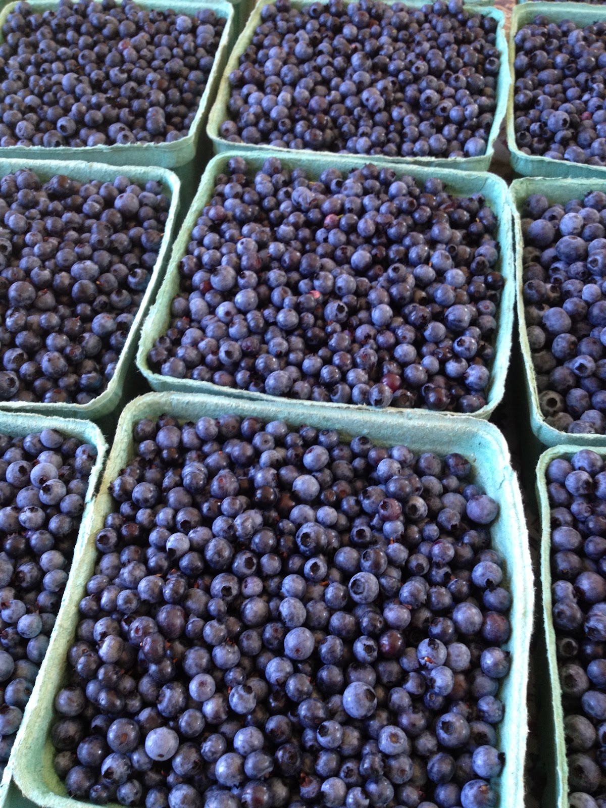 Have You Ever Picked A Carrot?: Wild Maine Blueberries: The King of Fruits