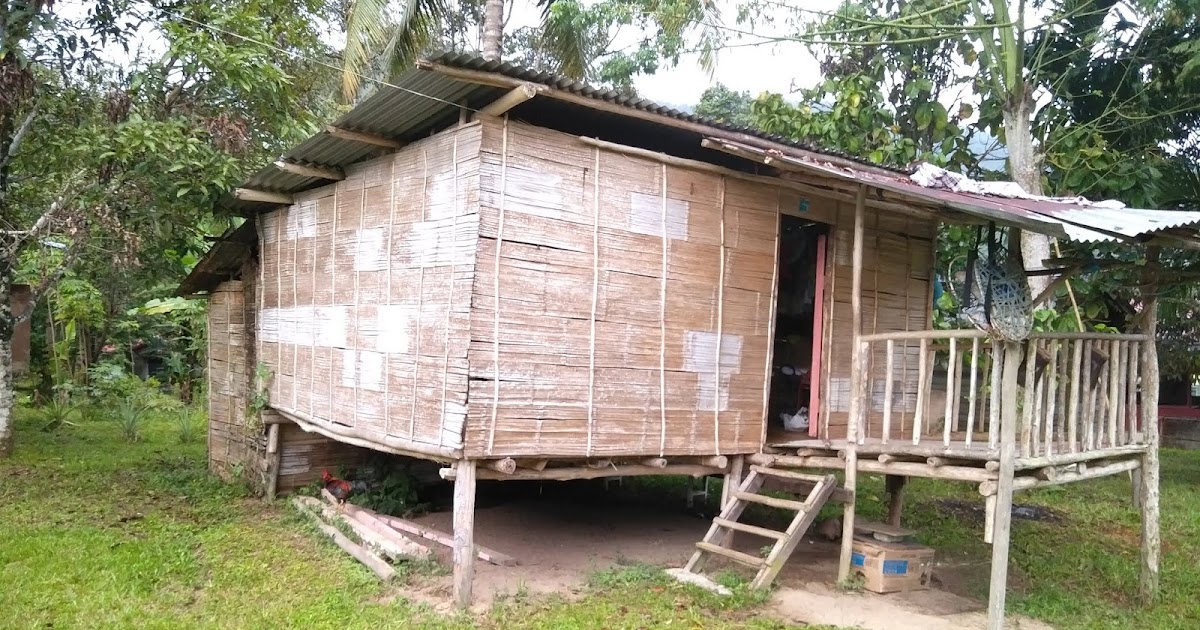 Rumah Buluh Orang Asli Semai Cameron Highlands