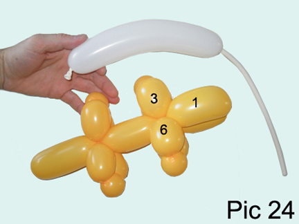 CLASSICAL: Balloon crocodile