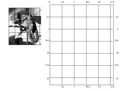 Gridded drawing - xolerfl