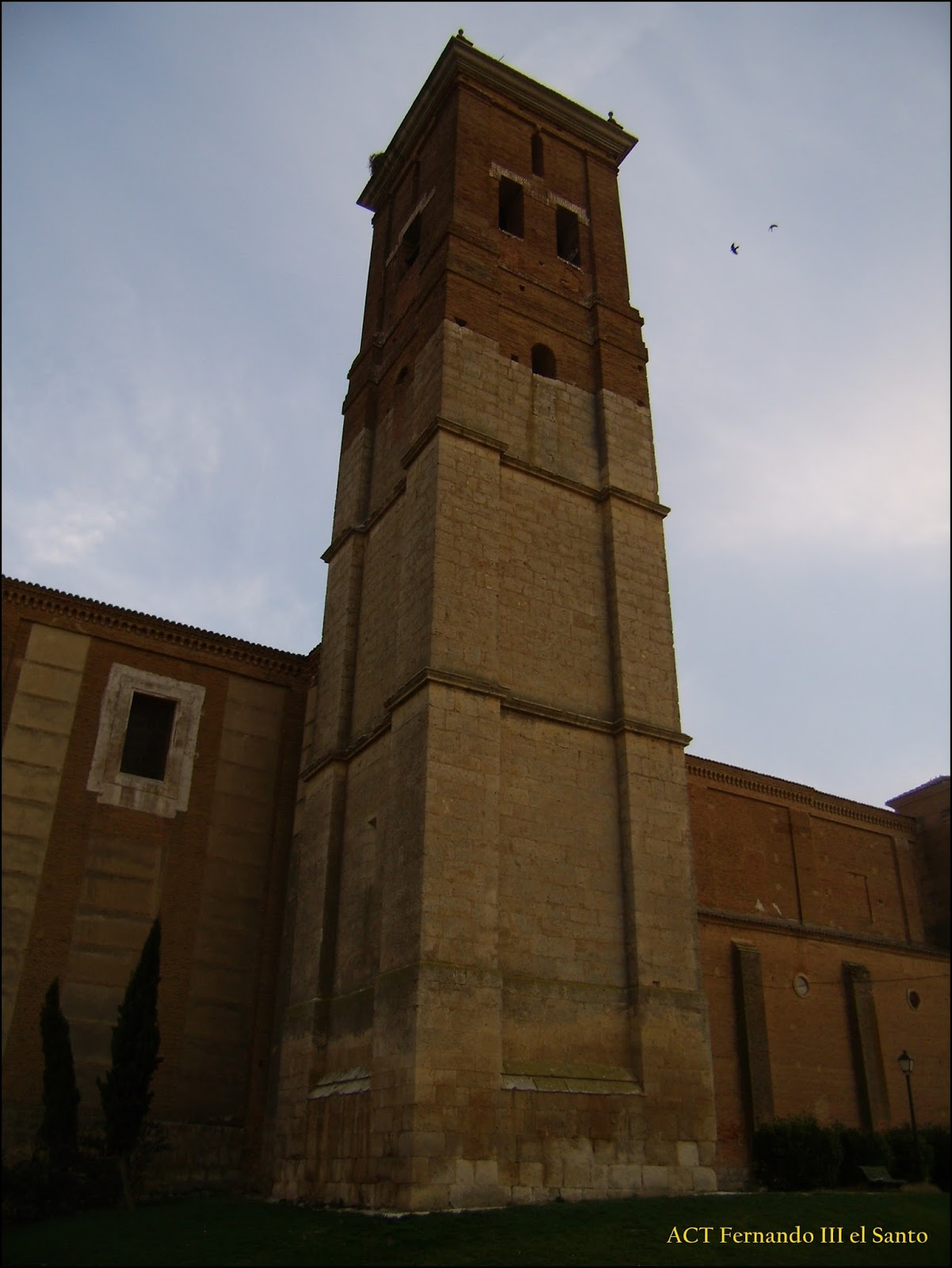 Proclamación Fernando III el Santo en Autillo de Campos