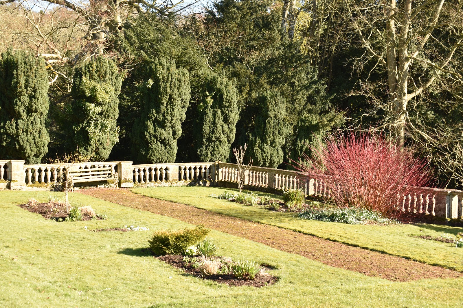 An afternoon at Colesbourne Park