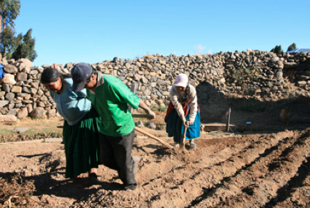 NephiCode: Tilling in Ancient Israel and Among the Nephites