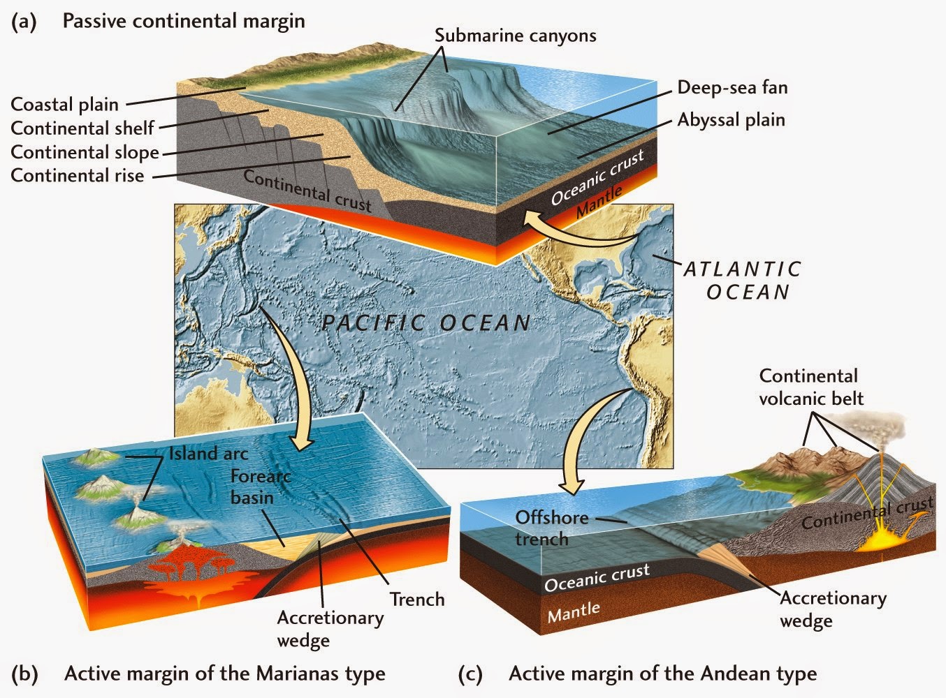 What s The Difference Between An Active And Passive Continental Margin What s The Difference Between An Active And Passive Continental Margin