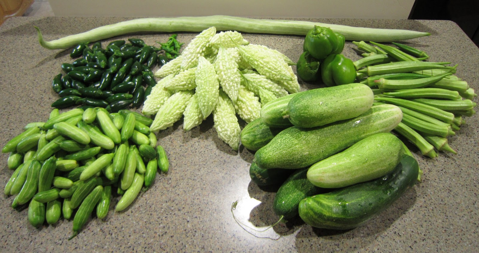 Cooking with Sella: How did my veggies do in year 2012?