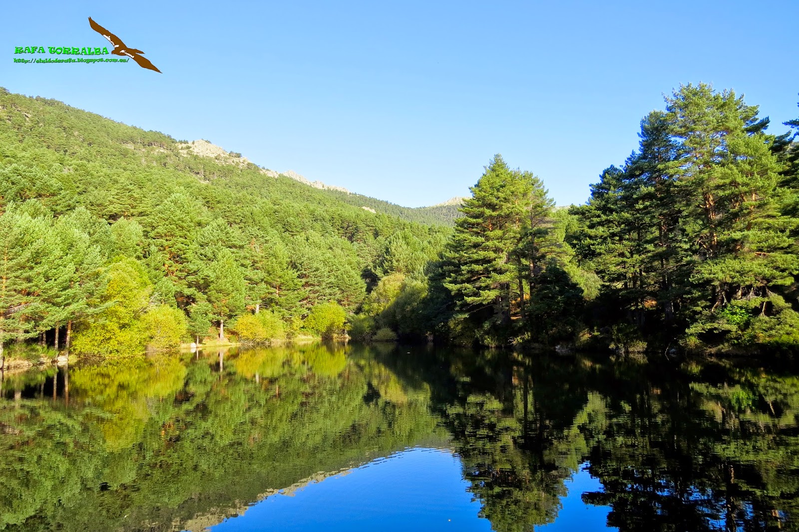 El Nido de Rafa: Parque Regional Cuenca Alta del Manzanares, Madrid.